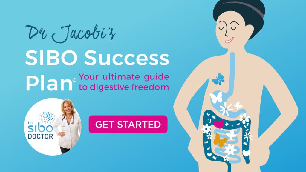 SIBO Success Plan - The SIBO Doctor