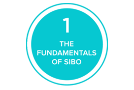 1. What is SIBO? - The SIBO Doctor