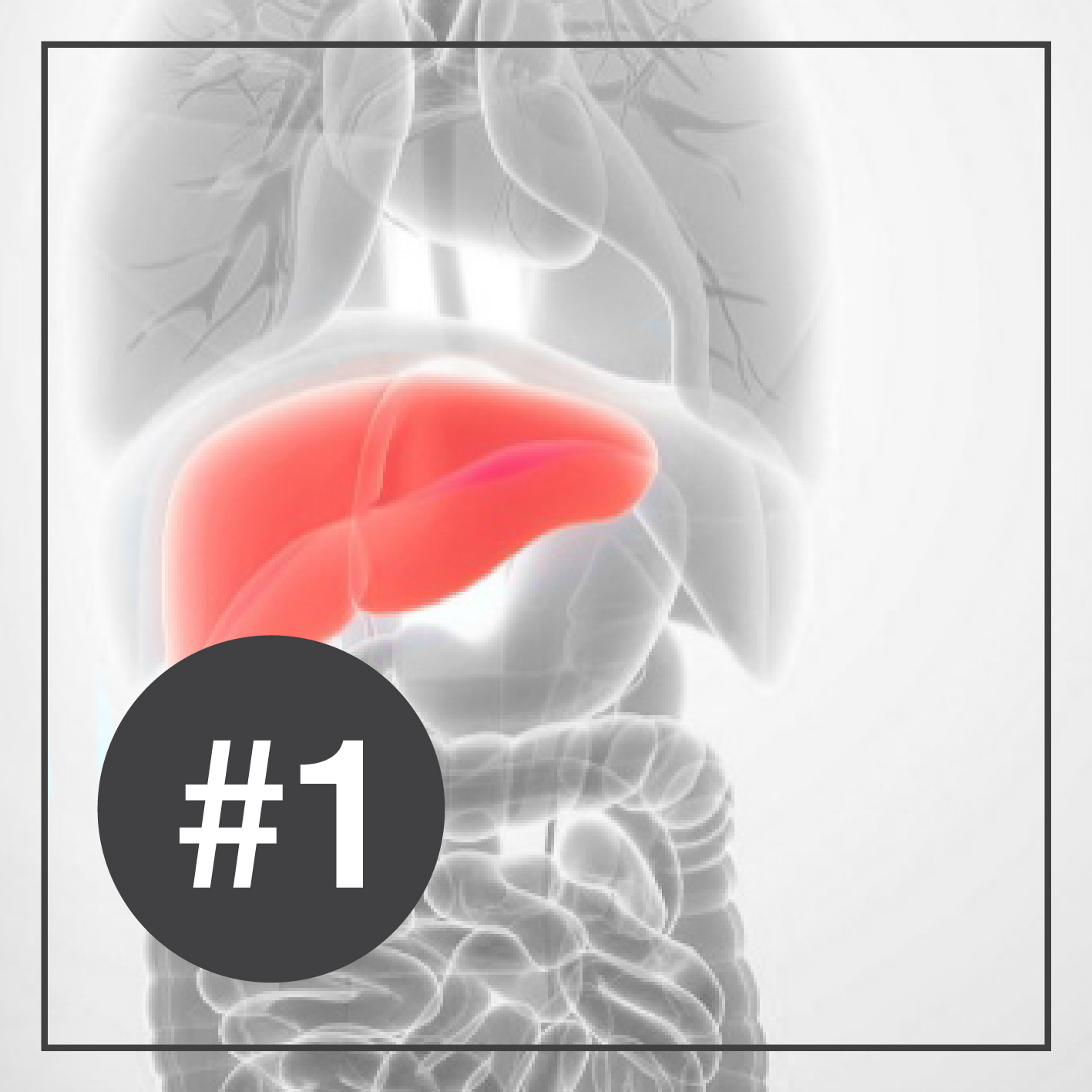 Liver Masterclass - Lesson 1 - The SIBO Doctor