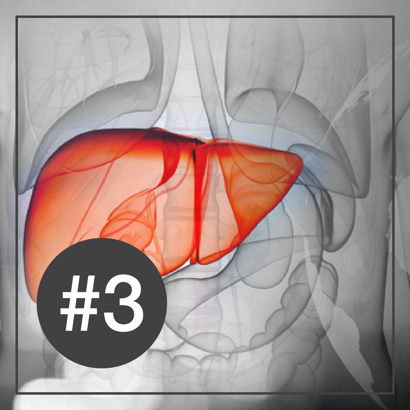 Liver Masterclass - Lesson 3 - The SIBO Doctor
